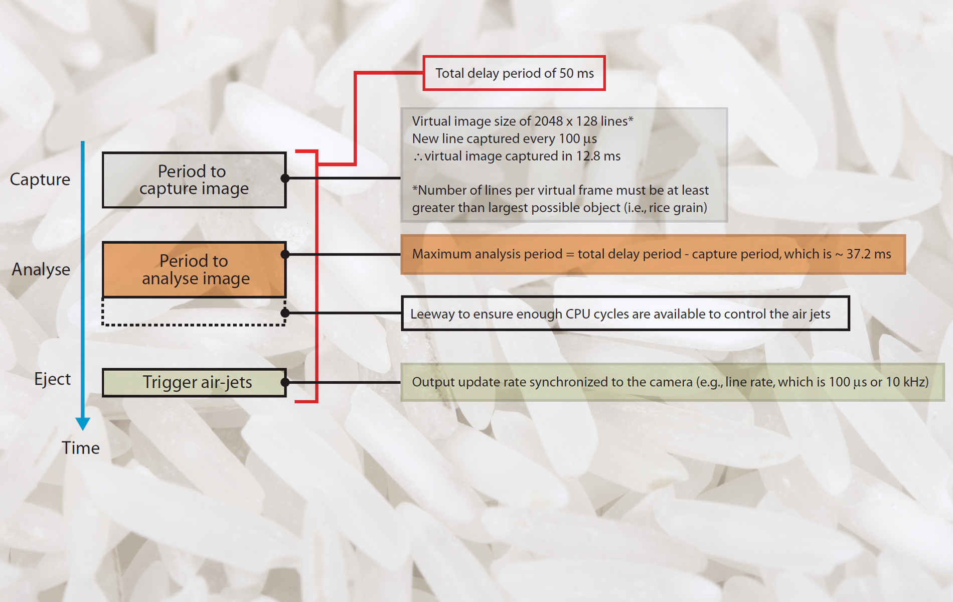 Machine-Vision - rice grain inspection application, RAUSCHER GmbH ...