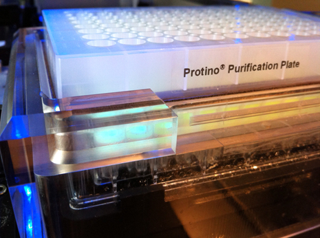 Recombinant Protein Purification, HAMILTON Robotics GmbH, Story - PresseBox