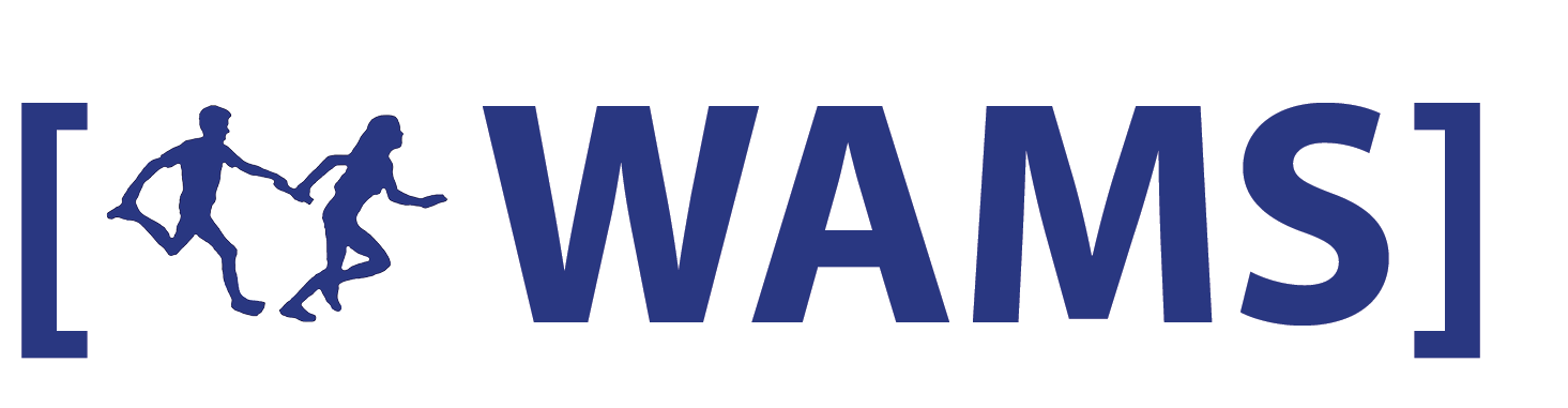 WAMS – Workflow Aided Media Sales, [frevel & fey ] Software Systeme ...