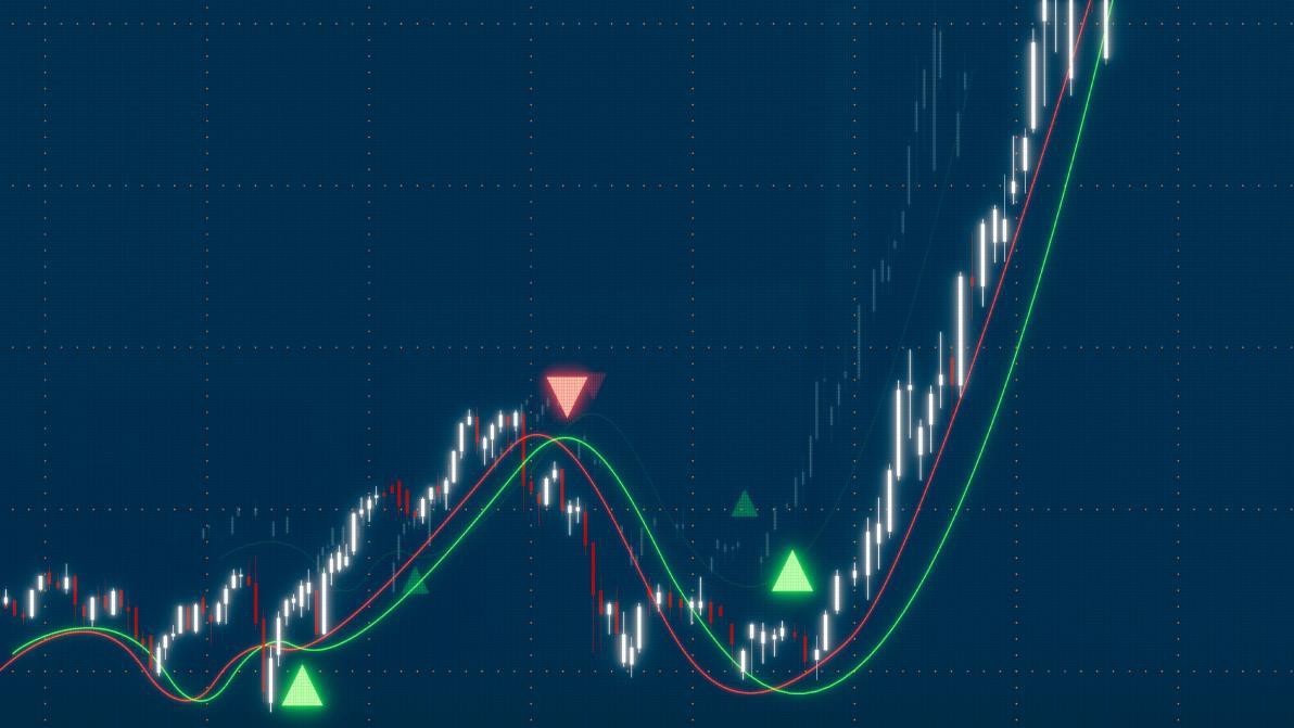 Edelmetall und PMG-Platzhirsch mit grandiosem Ergebnis und ...