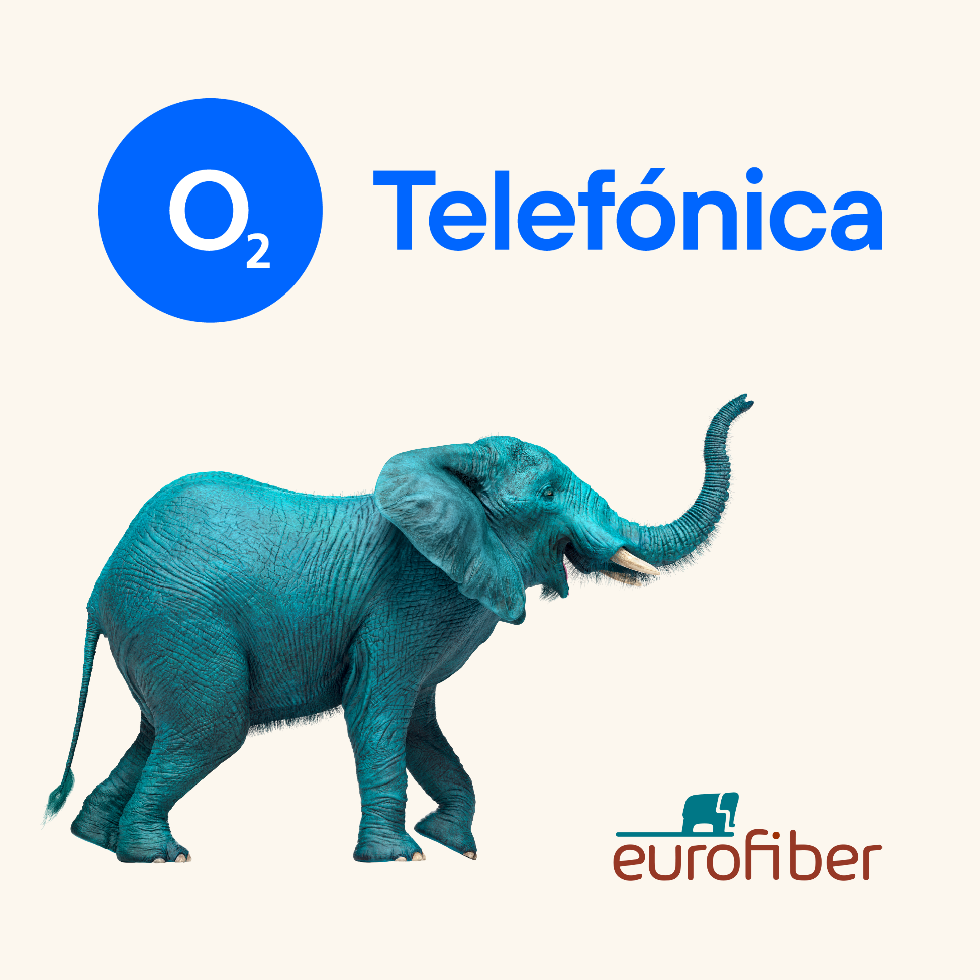 Eurofiber Netz und o2 Telefónica schließen Kooperationsvertrag für ...