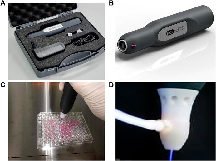 Cold atmospheric plasma induces apoptosis in human colon and lung ...