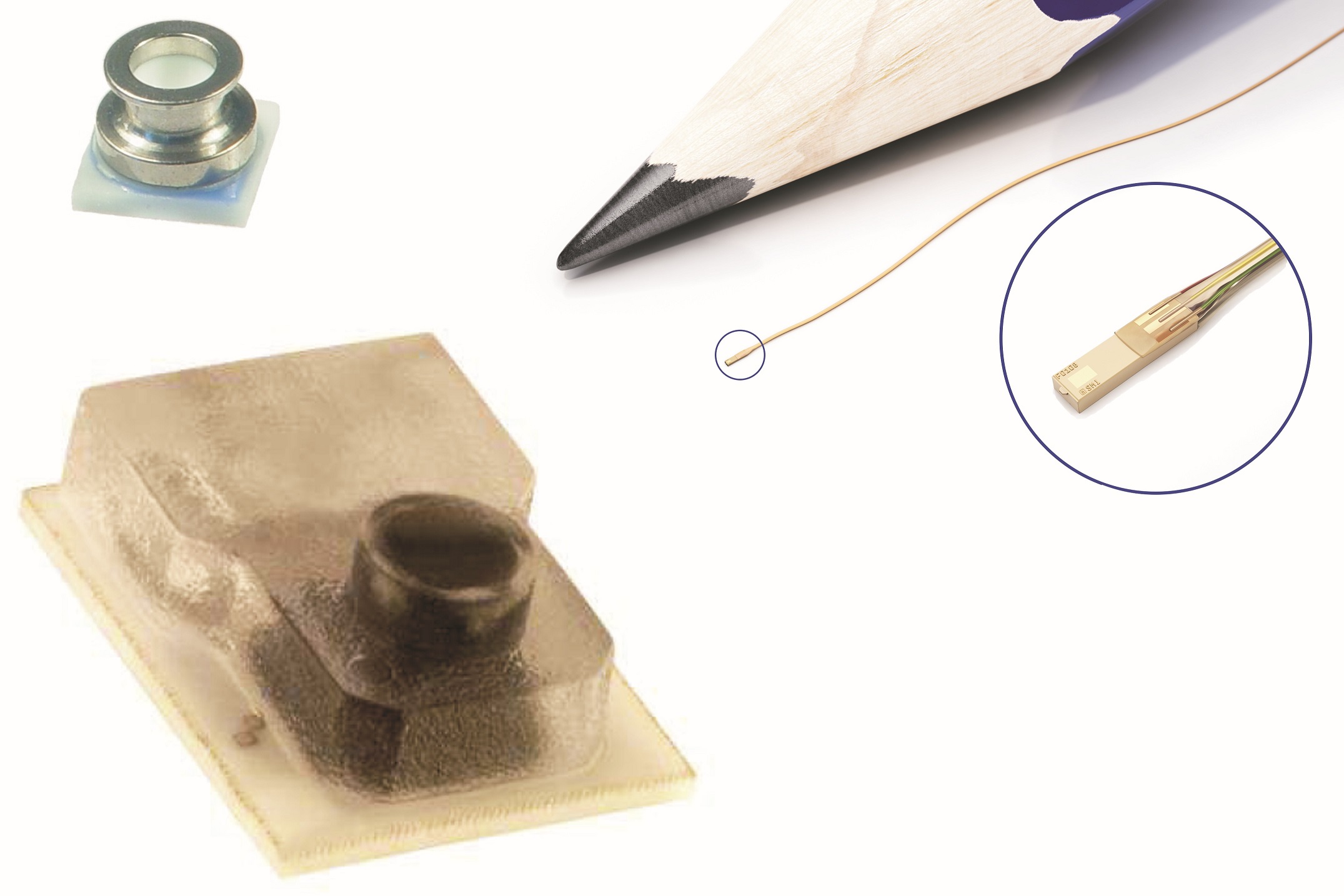 Ten things you need to know about in-vivo sensing, AMSYS GmbH & Co.KG ...