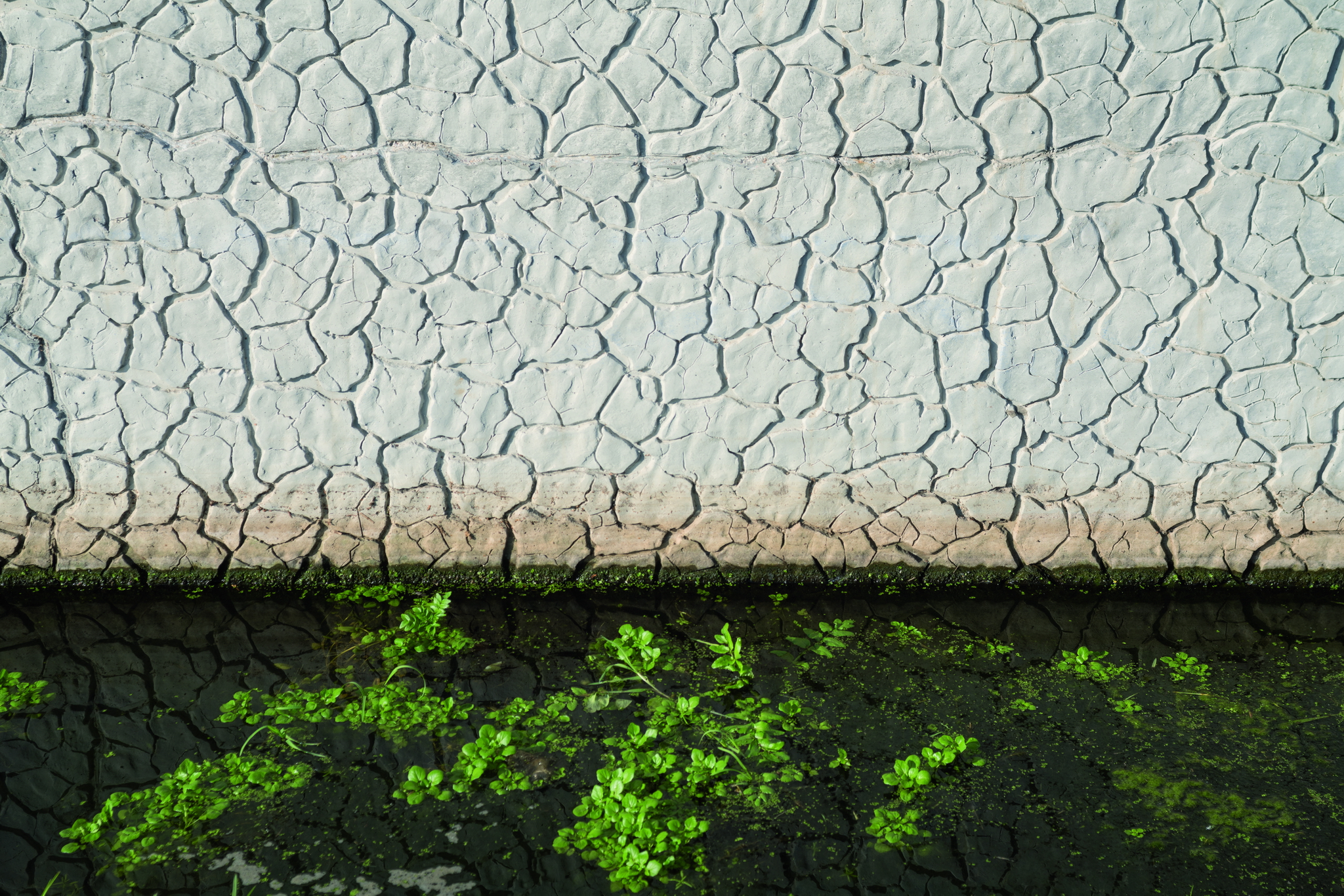 Remarkable "dried-out clay" retaining wall, NOE-Schaltechnik Georg ...