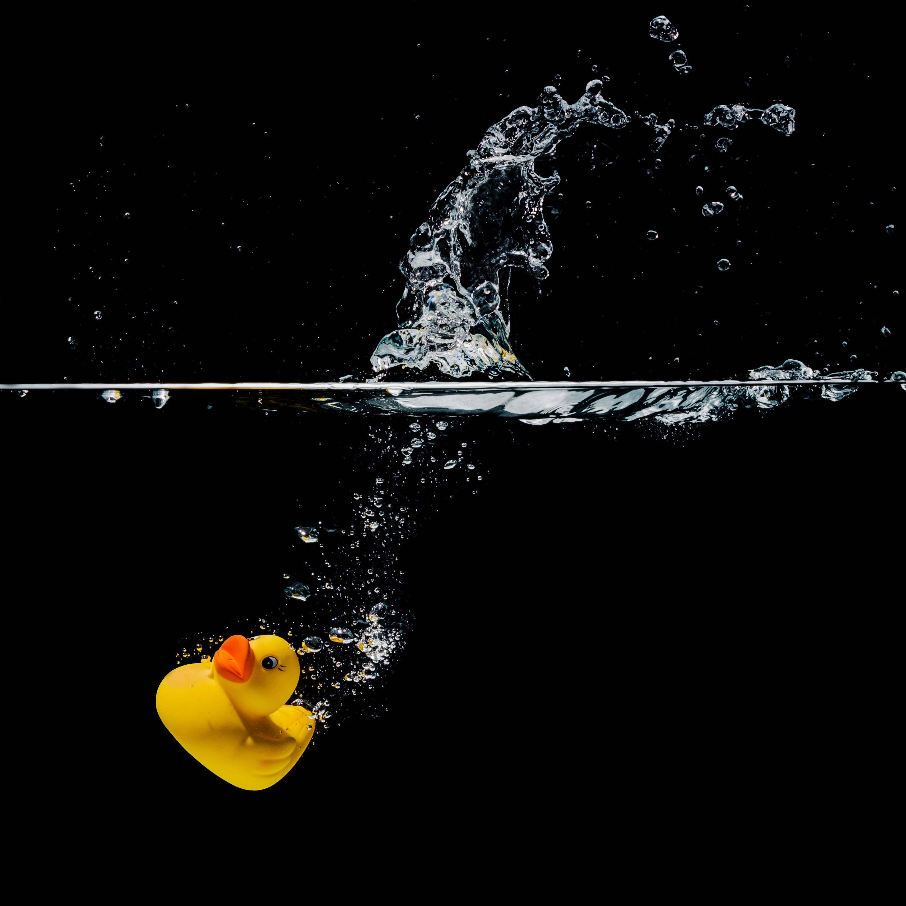 Die PVC-Welt trifft sich am SKZ, FSKZ e. V., Story - PresseBox