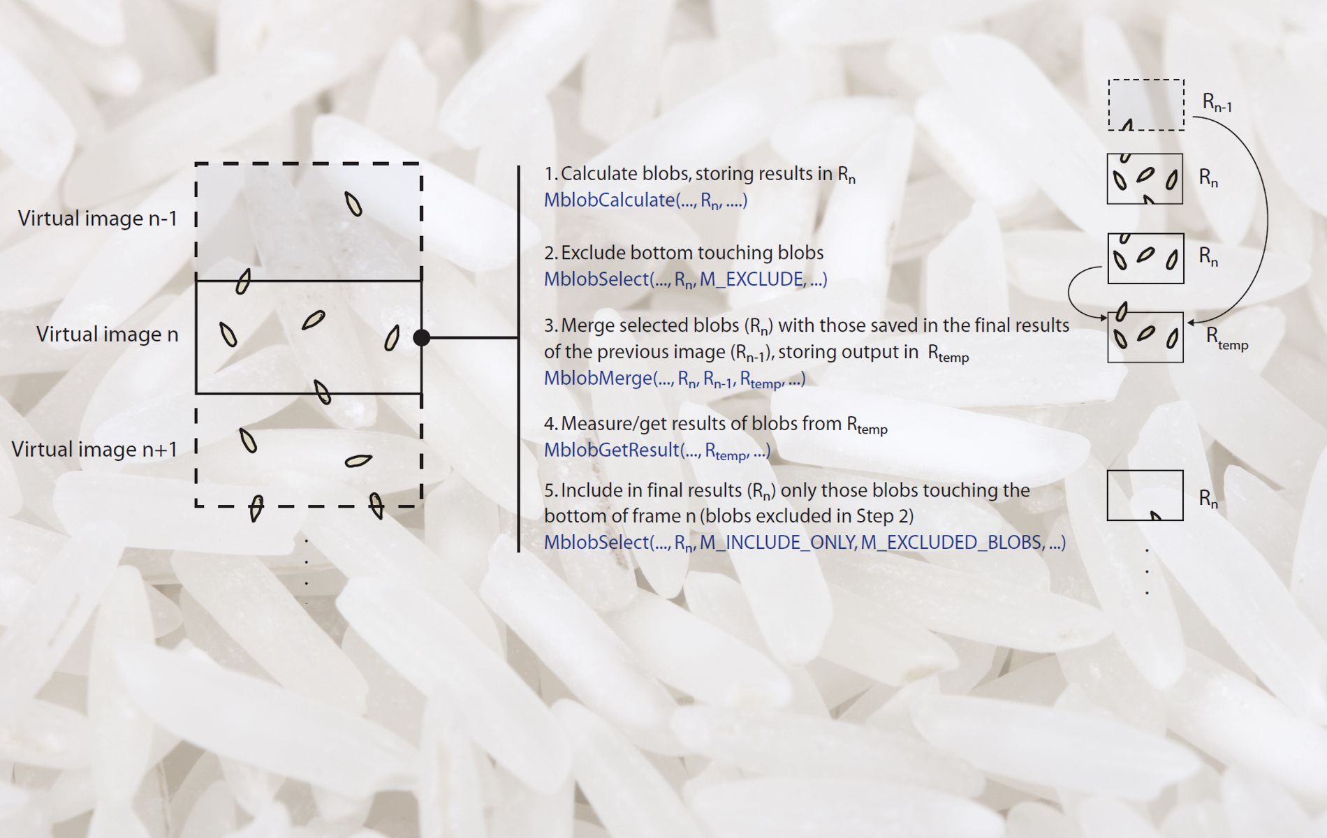 Machine-Vision - rice grain inspection application, RAUSCHER GmbH ...
