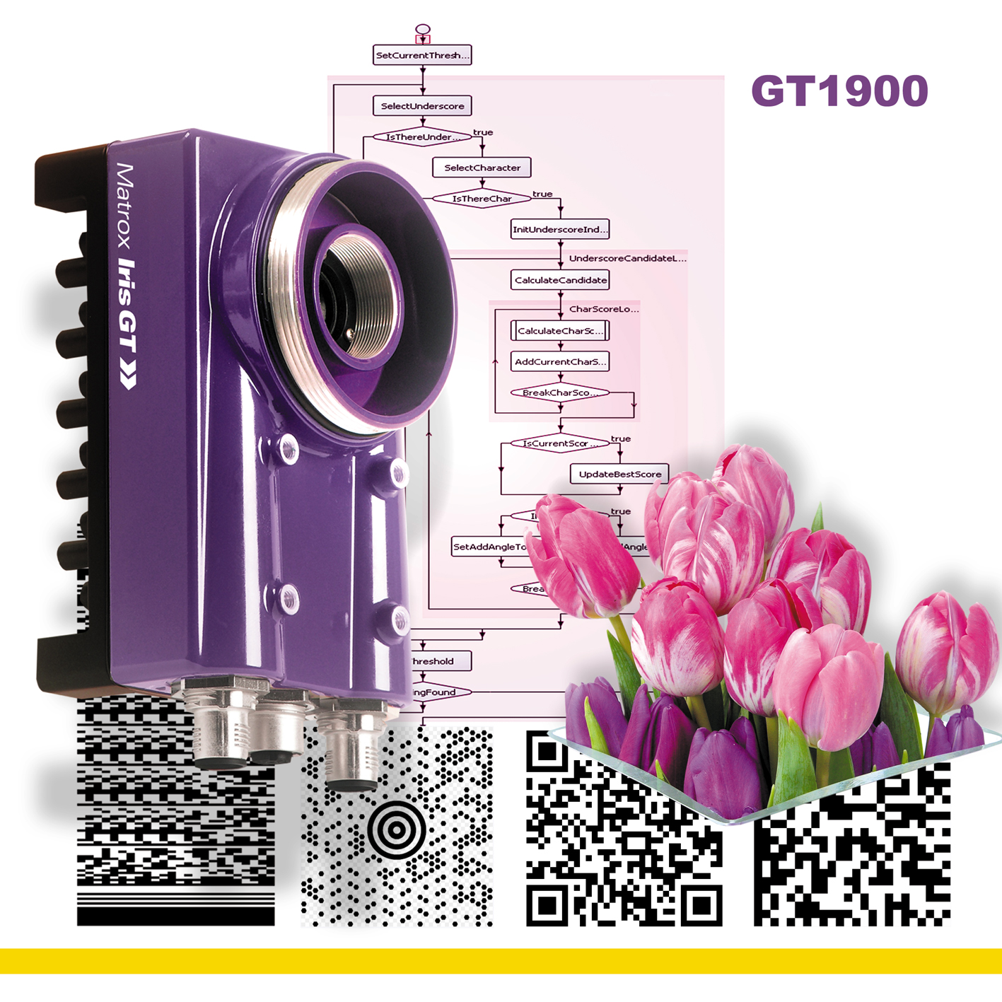 Matrox Smart-Camera - high-resolution for machine-vision and industrial ...