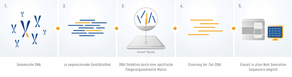 Automated Sequence Capture for Next-Generation Sequencing Paves the Way ...