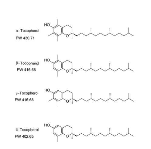 Analytik von sekundären Pflanzenstoffen (Teil 4: Vitamin E), BioTeSys ...