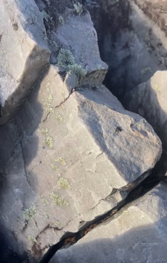 Argyle Resources stellt Update hinsichtlich Entwicklungen bei Siliziumdioxidprojekt Matapedia ...