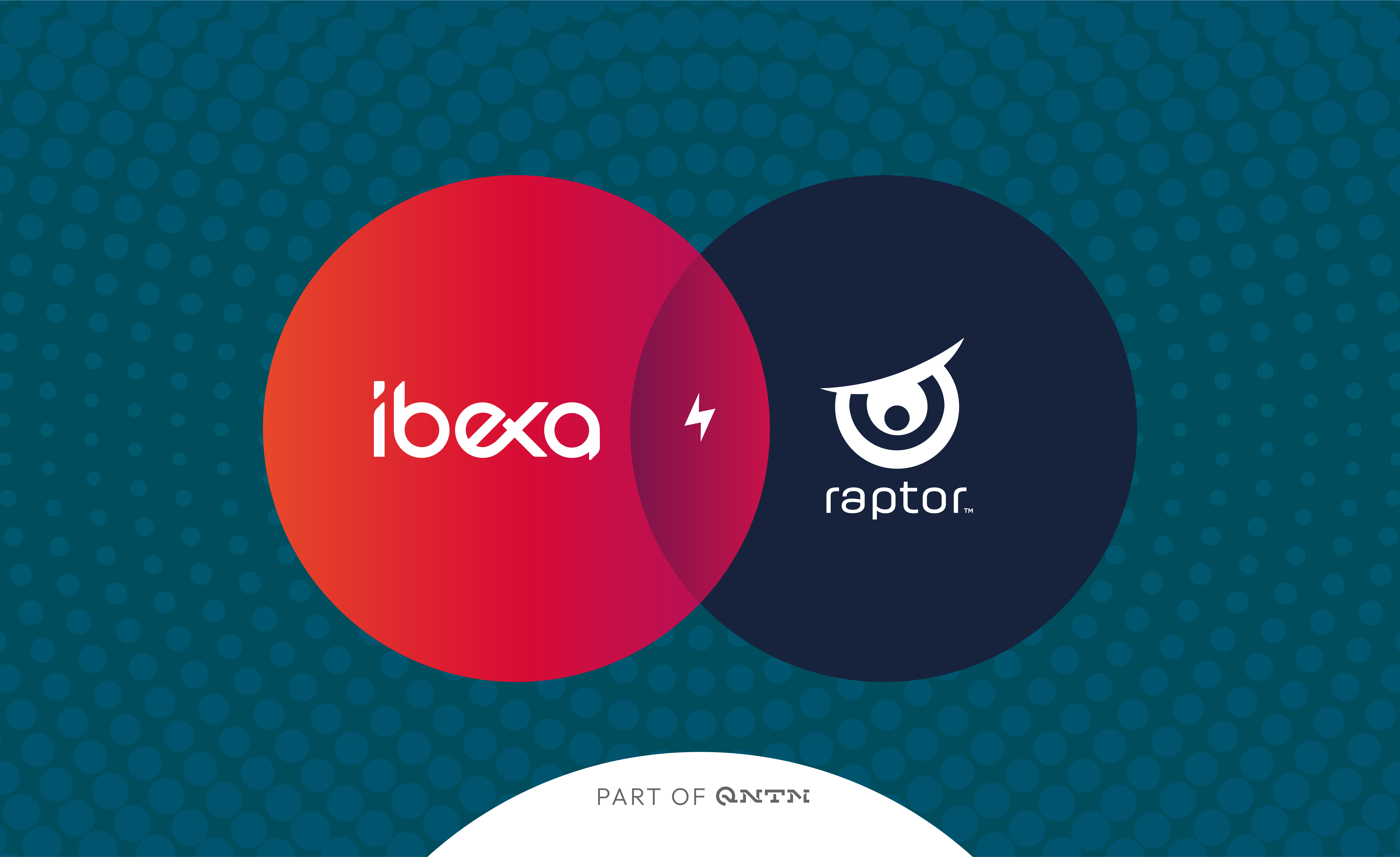 Ibexa and Raptor Announce Strategic Merger to Strengthen Position as ...