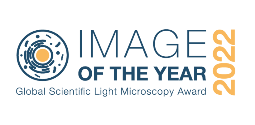 The Art of Science: EVIDENT kündigt erweiterten Global Image of the ...