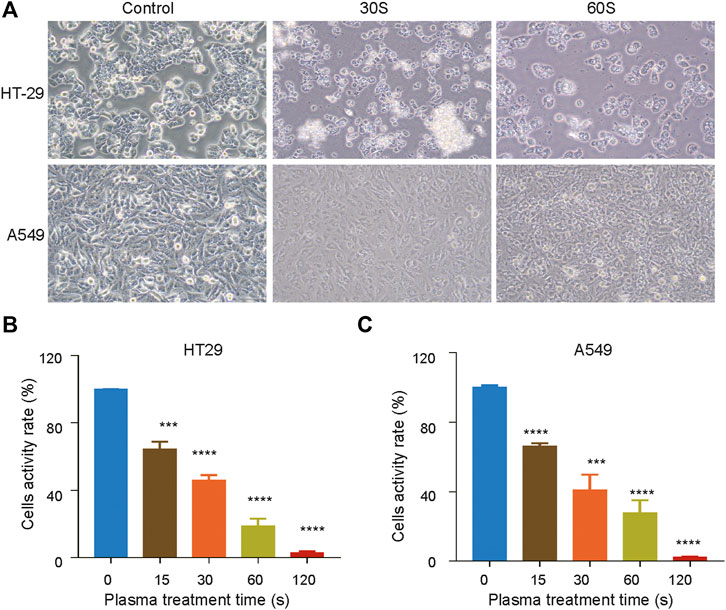 Cold atmospheric plasma induces apoptosis in human colon and lung ...