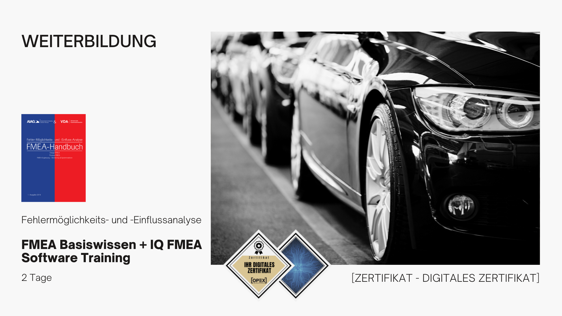 APIS IQ FMEA (Two in One) FMEA Basiswissen + IQ FMEA Software Training ...