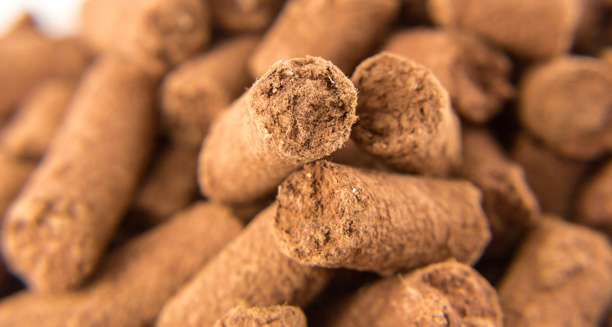 Biogasentschwefelung mit UgnCleanPellets®, UGN-Umwelttechnik GmbH ...