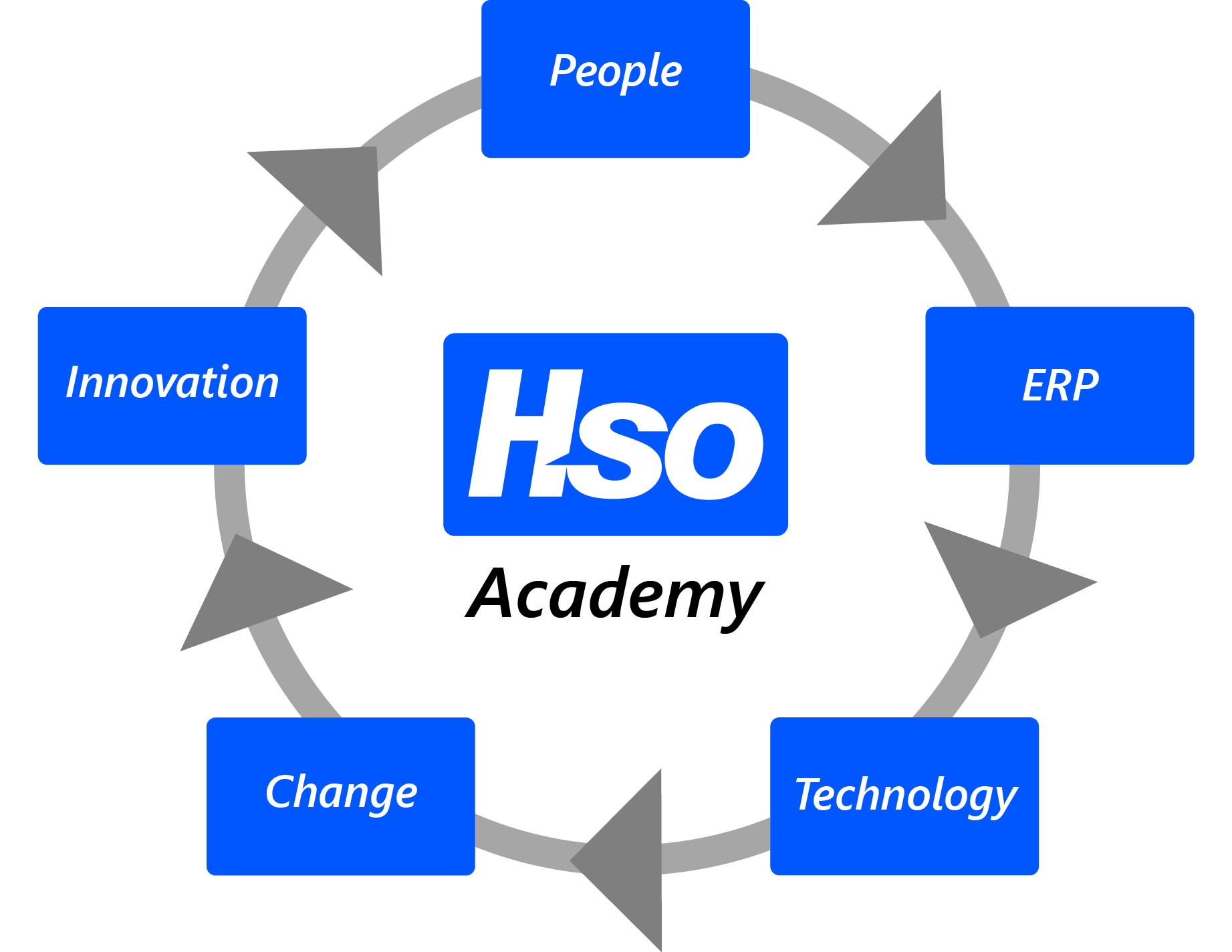 Microsoft Dynamics AX Marktführer startet Corporate Academy, HSO ...