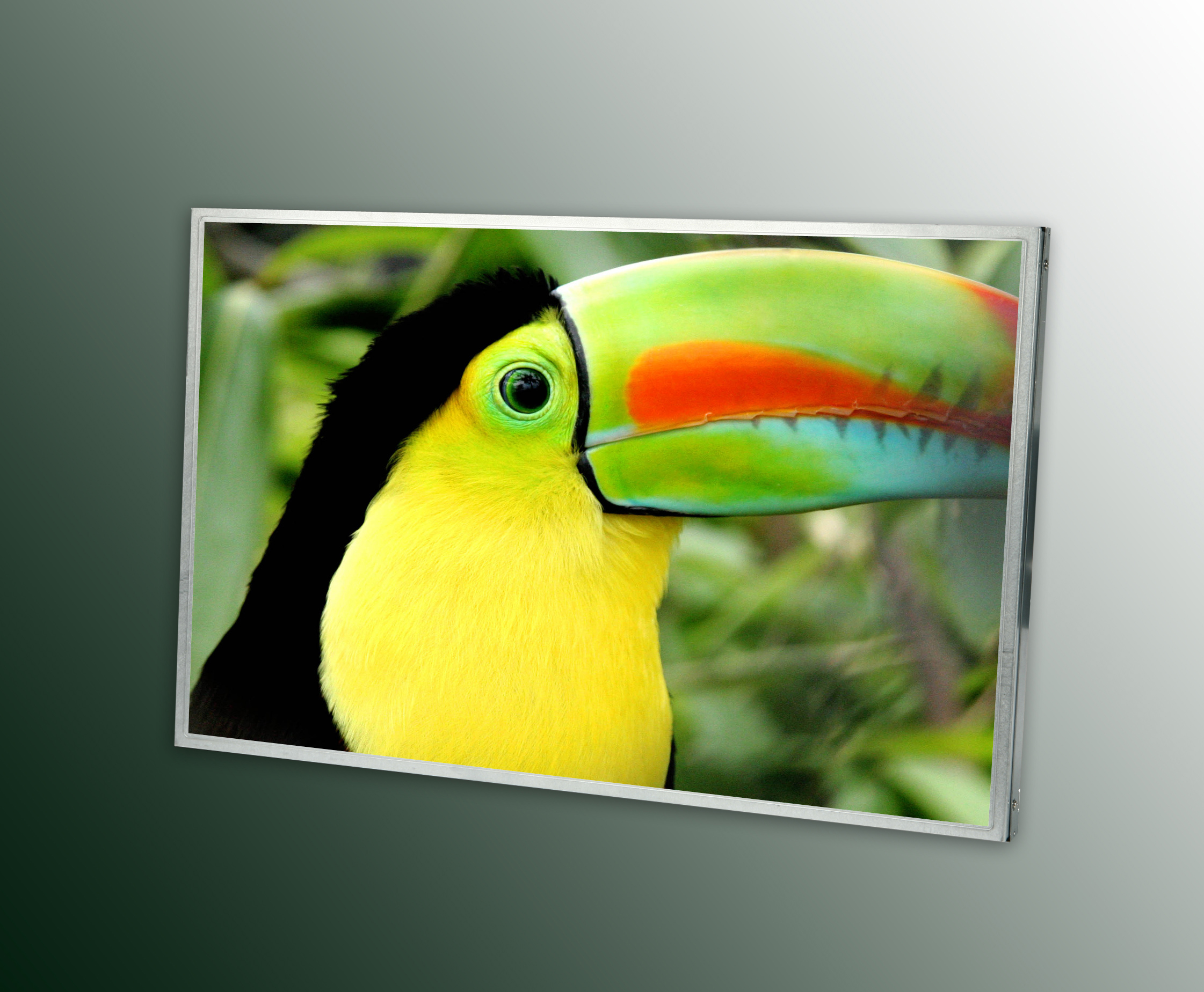 Covers up to 102 percent of the NTSC color space: Widescreen displays ...