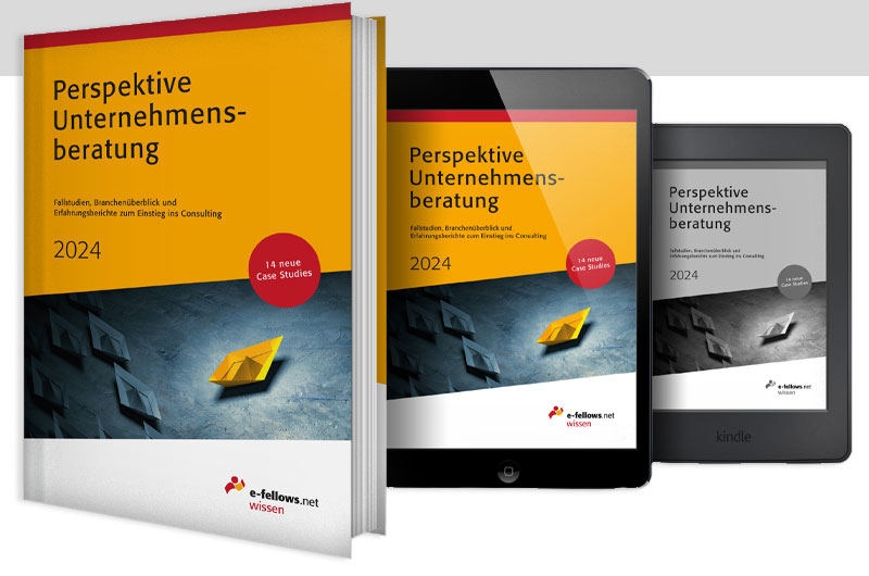 PROTEMA im Karriere-Ratgeber mit dem Fachbeitrag über die Organisations- und Prozessberatung ...