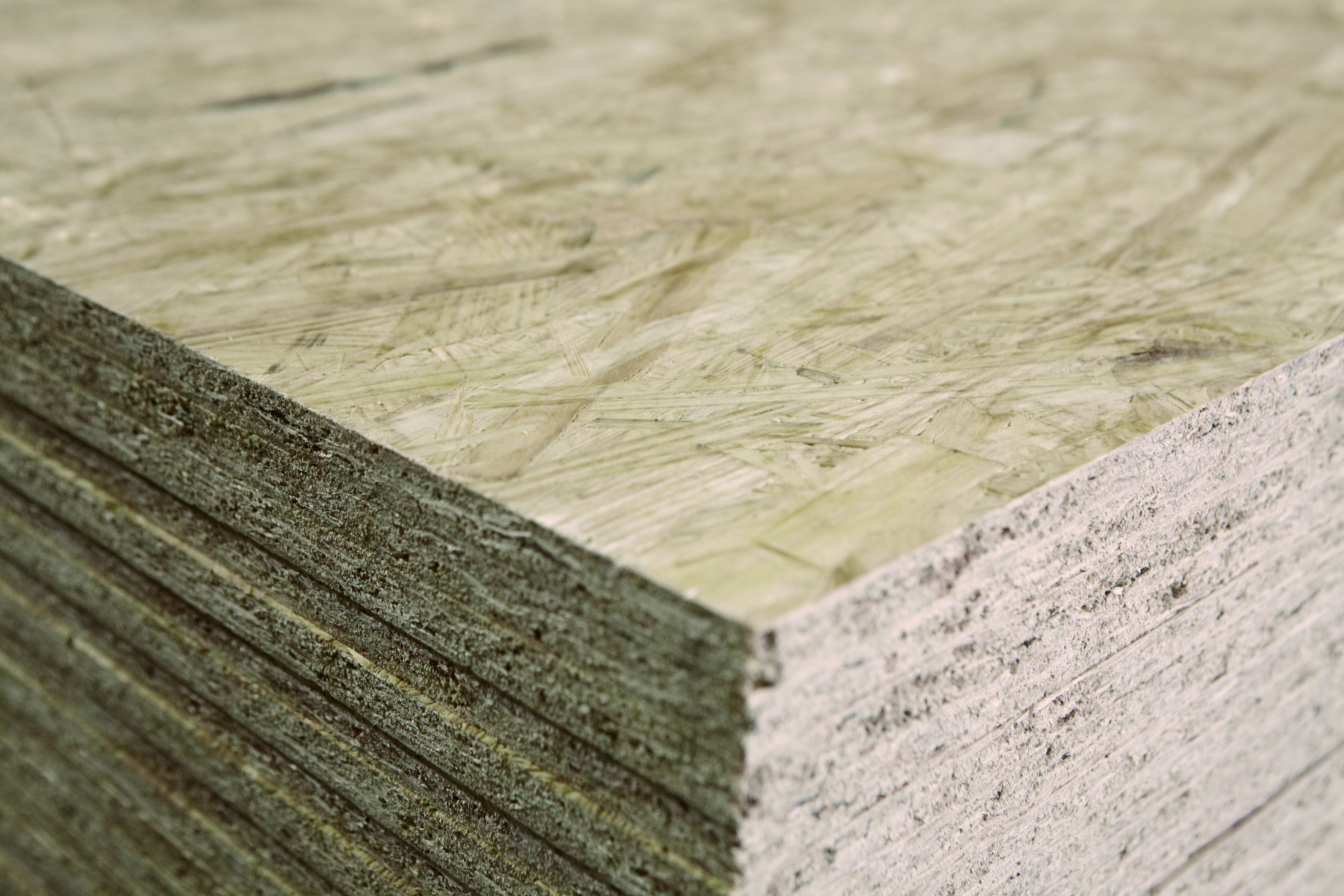 Inauguration of the New SWISS KRONO Plant in Hungary, SWISS KRONO GROUP ...