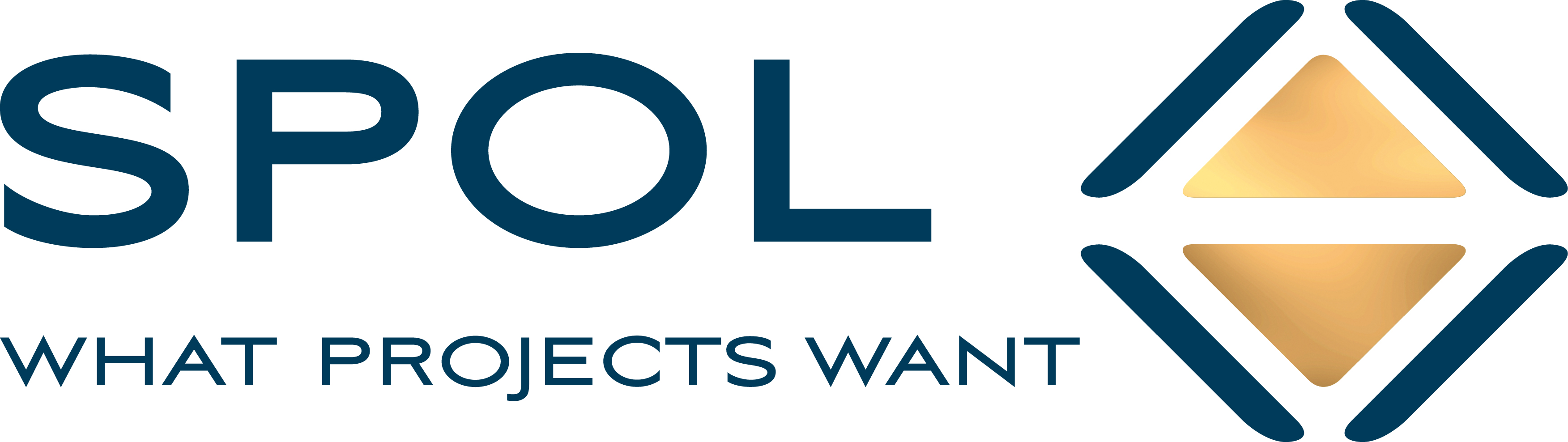 „Projekte lenken – Strategien erfolgreich umsetzen“, Spol AG, Story ...