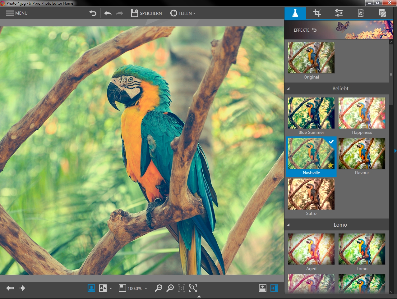 Fotos mit einem Klick optimieren: InPixio Photo Editor, Avanquest ...