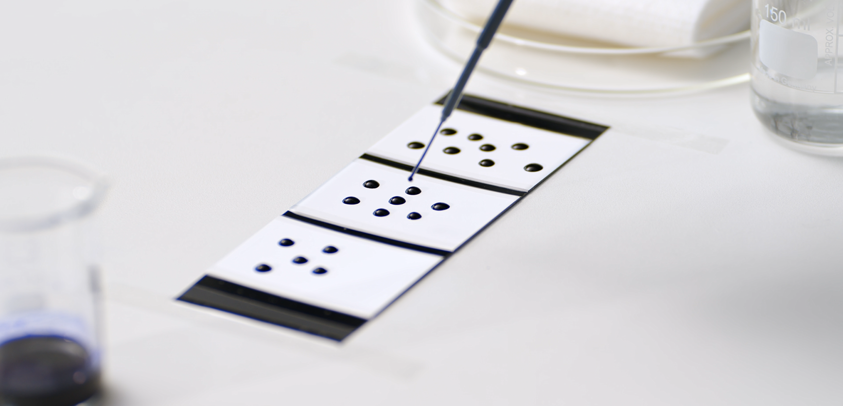 HOFFMANN MINERAL präsentiert nachhaltige Füllstoffe für Farben & Lacke ...