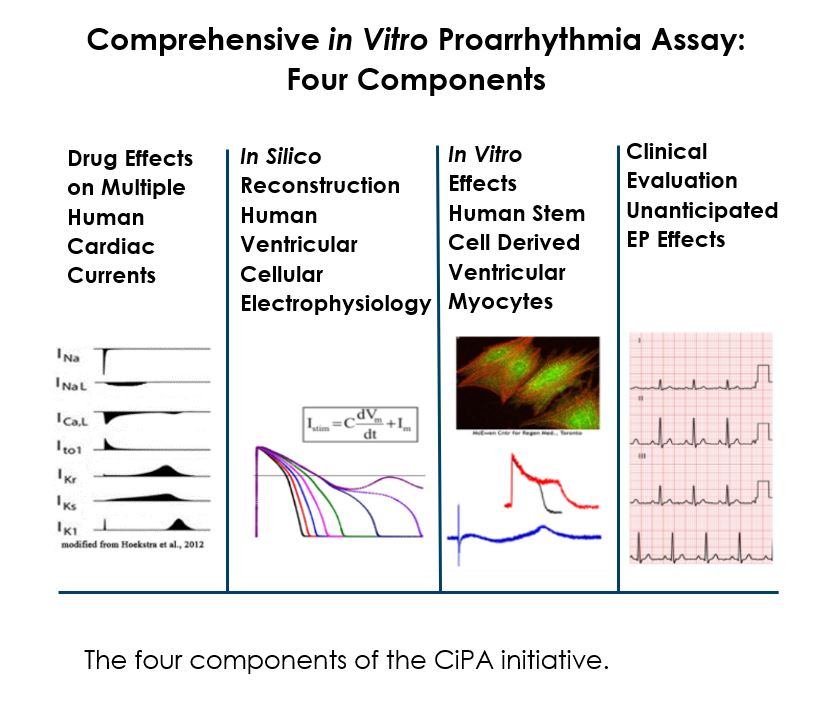 The SyncroPatch 384 is installed at the FDA for cardiac safety ...