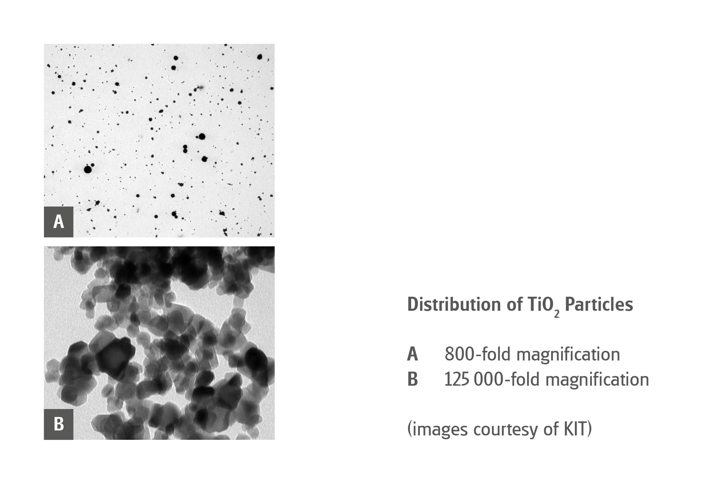 VITROCELL® TEM Grid holders for dose determination of airborne ...