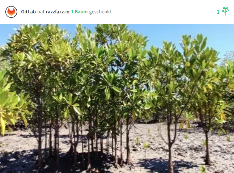 razzfazz.io pflanzt Bäume, SEQIS GmbH, Story - PresseBox