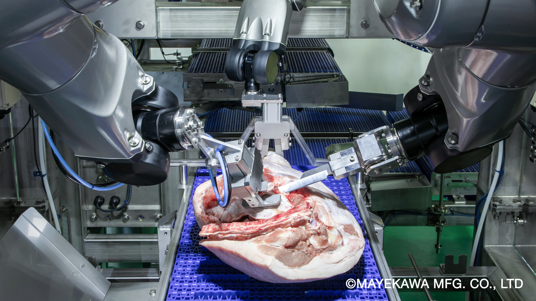 Lebensmittelproduktion hocheffizient gestalten, Stäubli Tec-Systems ...