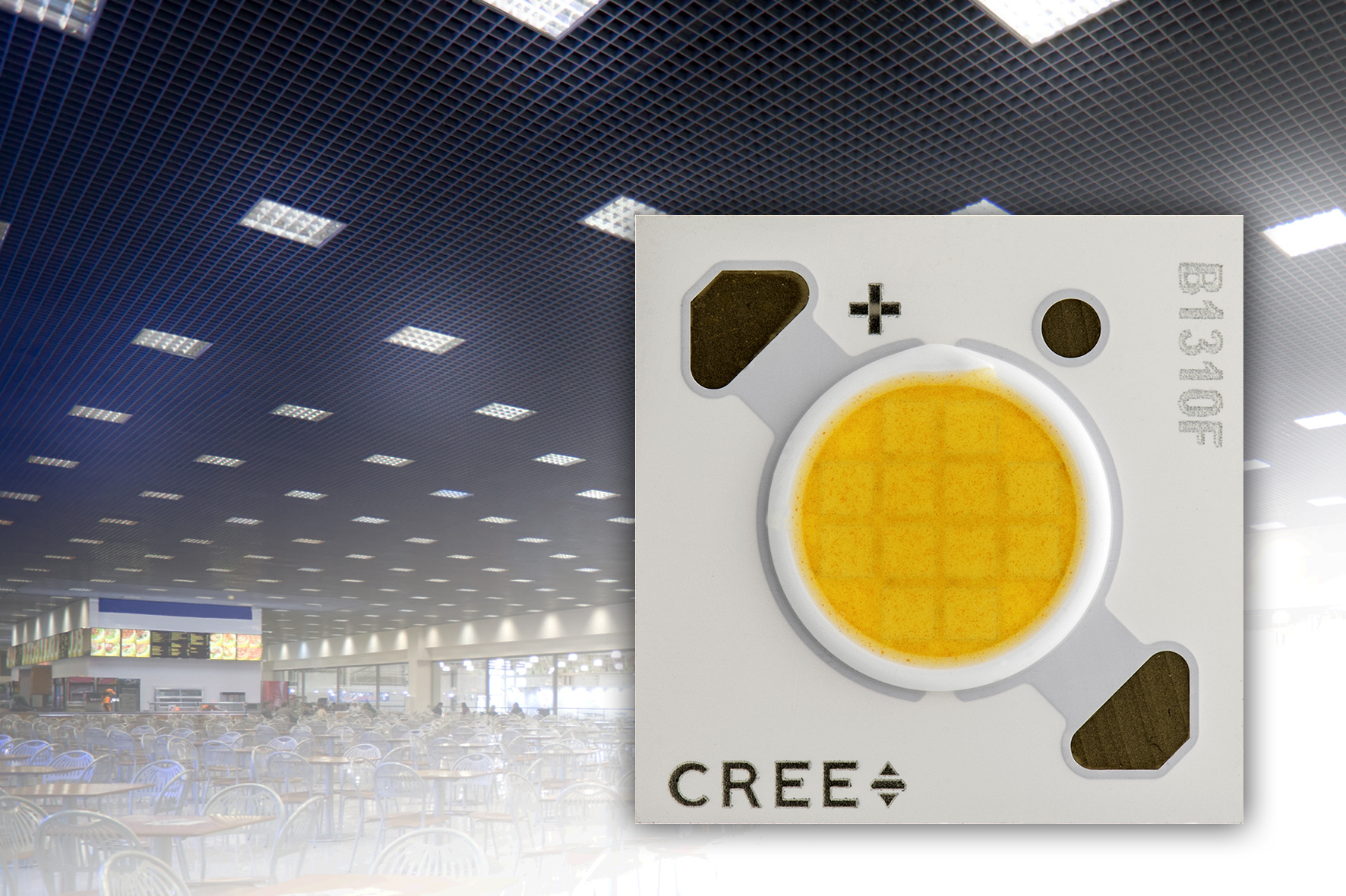 MSC Technologies offers New Cree XLamp CXA2 High Density LEDs with ...
