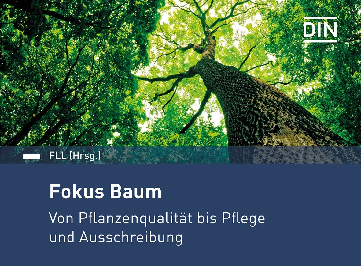 Regeln rund um den Baum, Beuth Verlag GmbH, Story - PresseBox