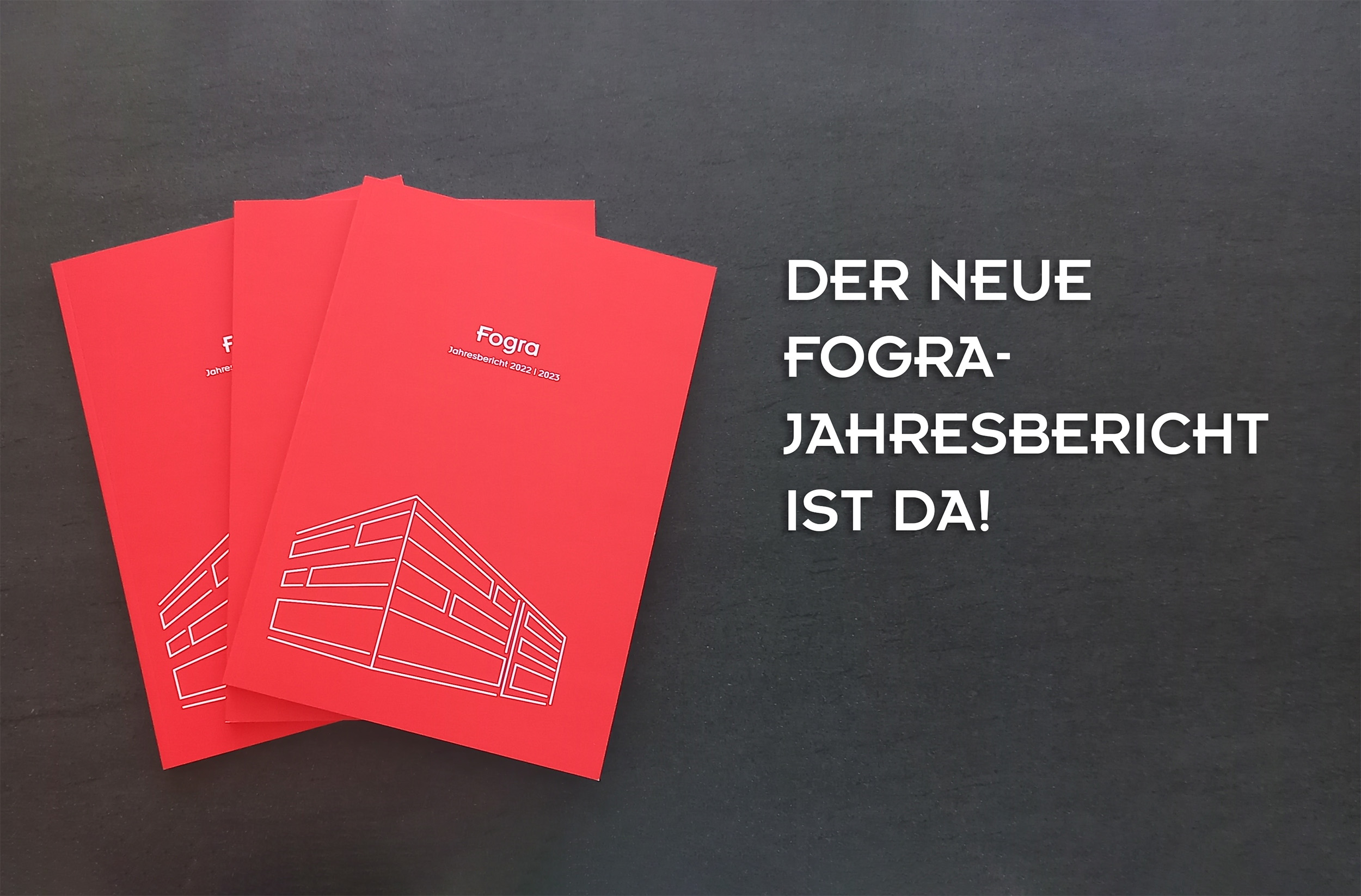 Fogra Jahresbericht 2022 | 2023, Fogra Forschungsinstitut für ...