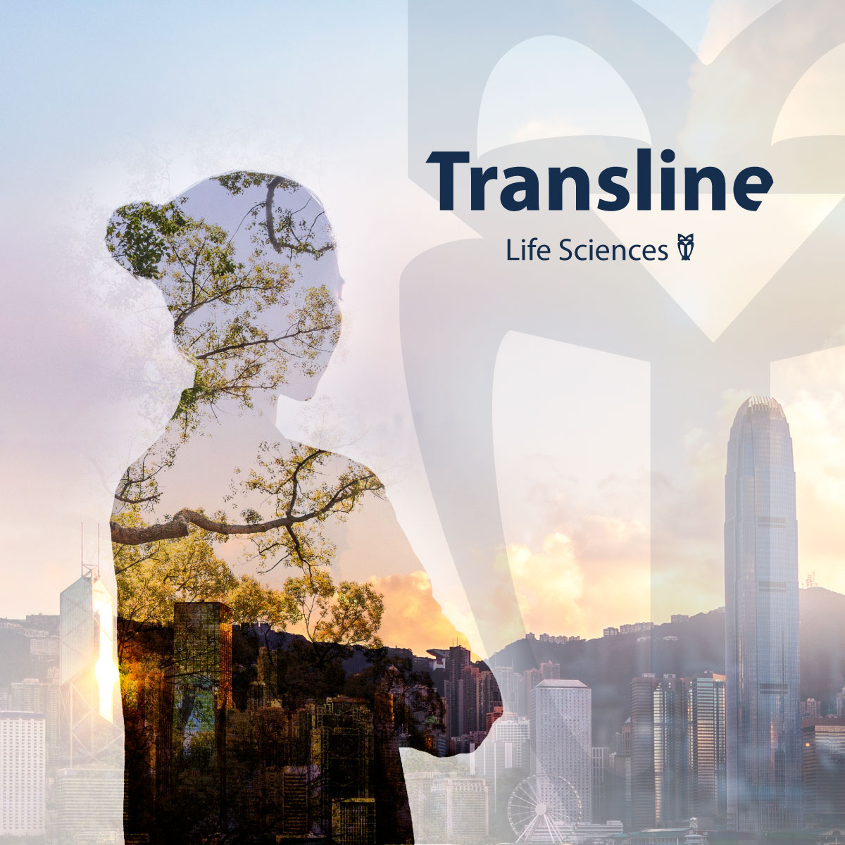 Global etablierter Münchner Sprachendienst medax fusioniert und wird zu ...