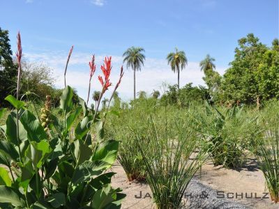 30 años de Humedales Construidos Janisch & Schulz, Janisch & Schulz Ingenieure, Story - PresseBox