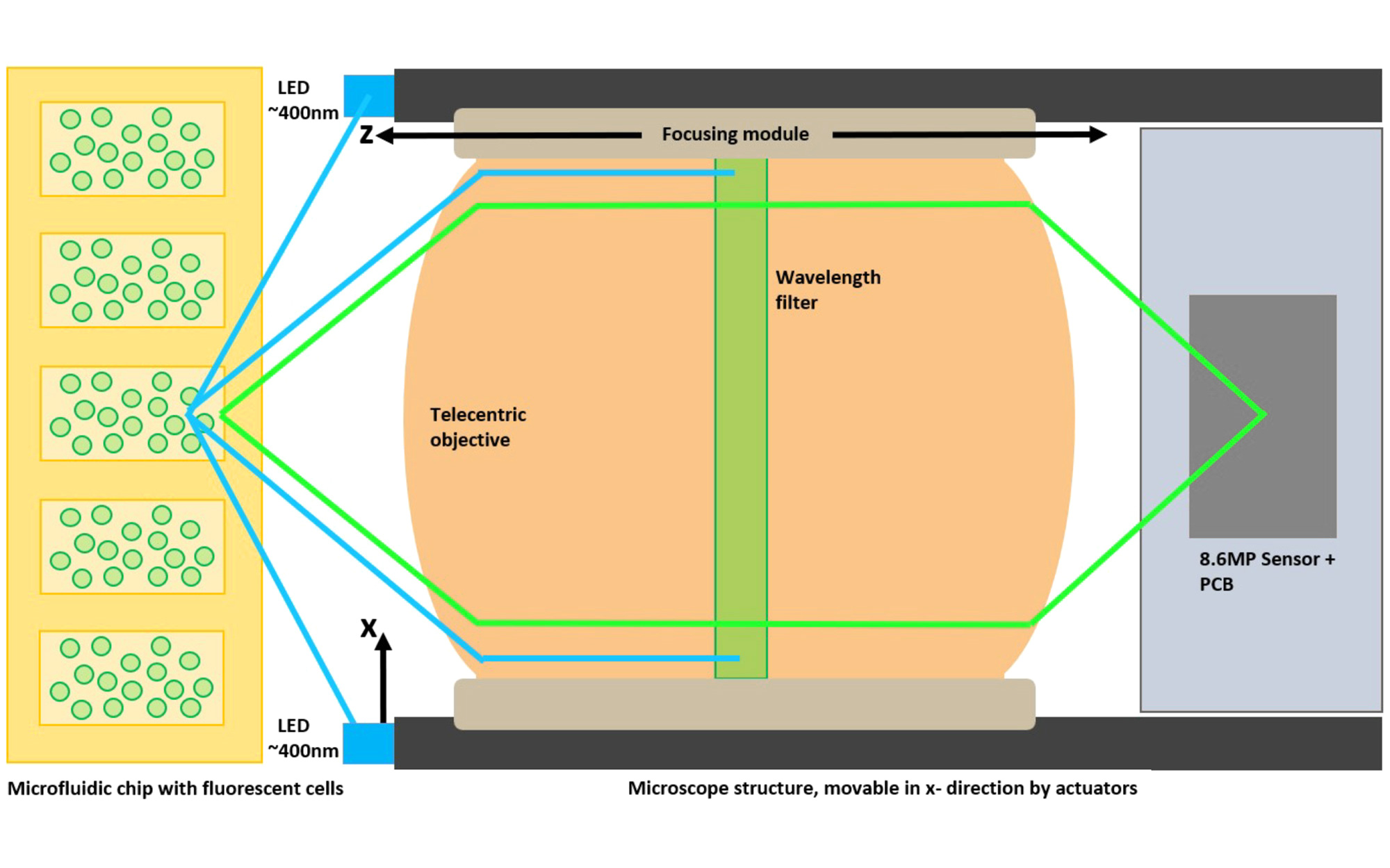 Zwei Piezolution Fokus Antriebe und Miniobjektiv aus Karlsruhe bald im ...