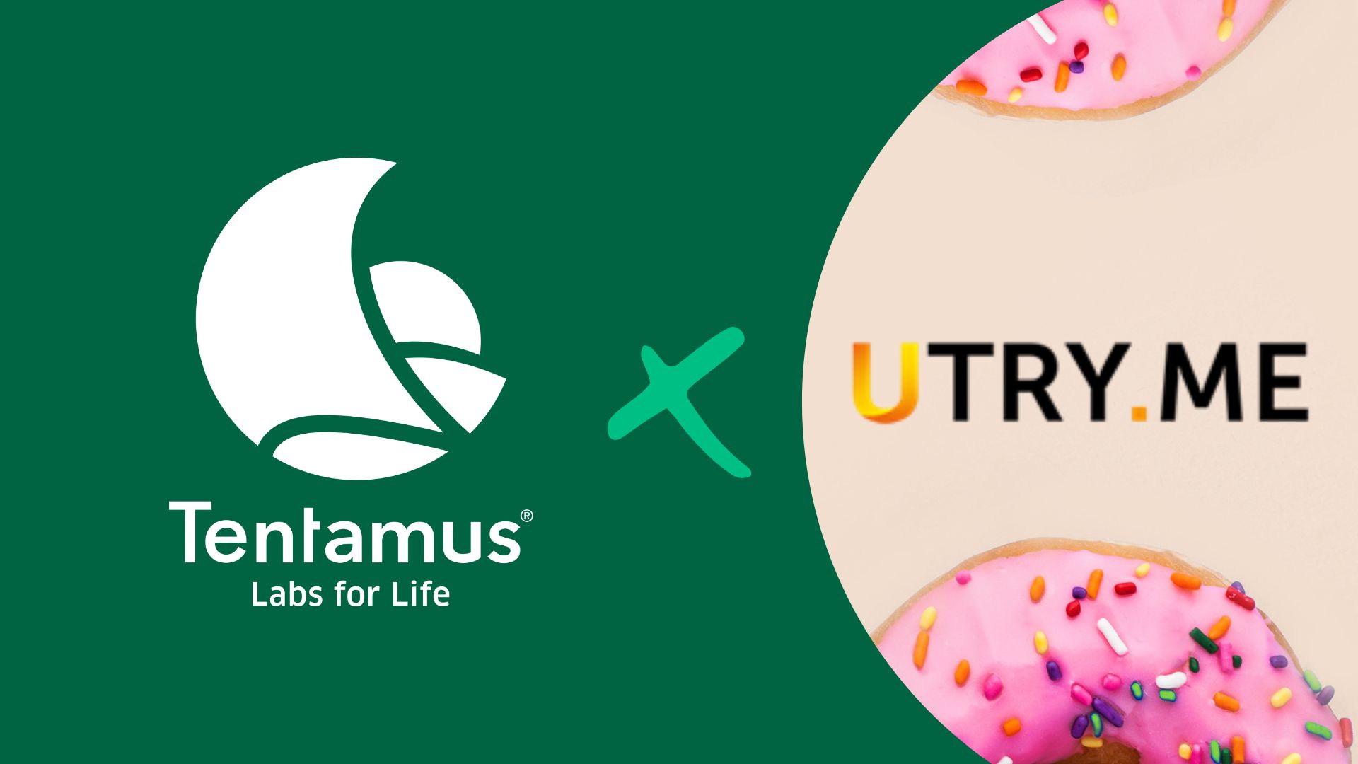 Der perfekte Start auf den Markt – Zusammen mit UTRY.ME und der ...