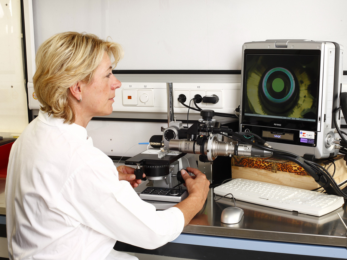 Optical Fiber Assemblies from LASER COMPONENTS, Laser Components ...