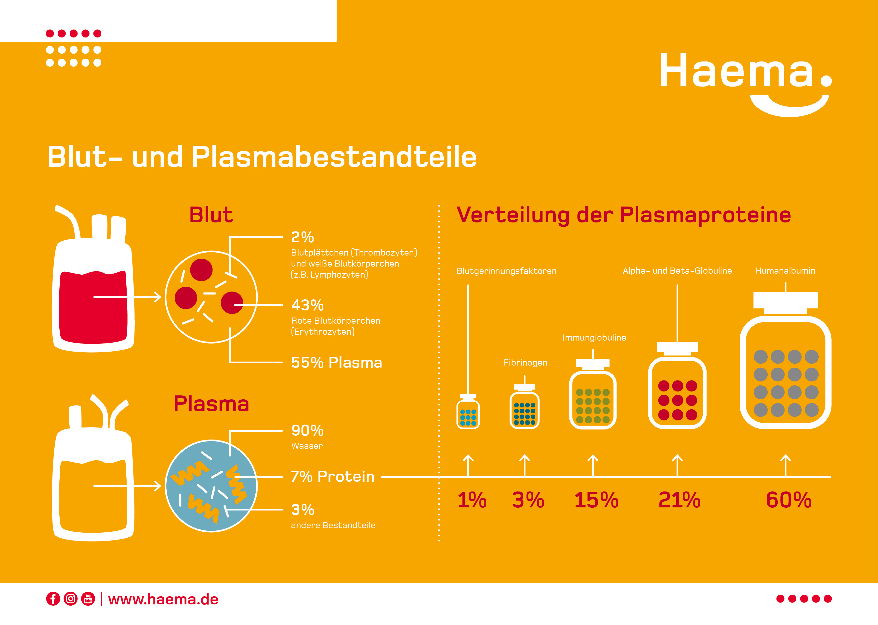 Mit guten Vorsätzen durch das gesamte Jahr: Haema ruft zur Blut- und ...