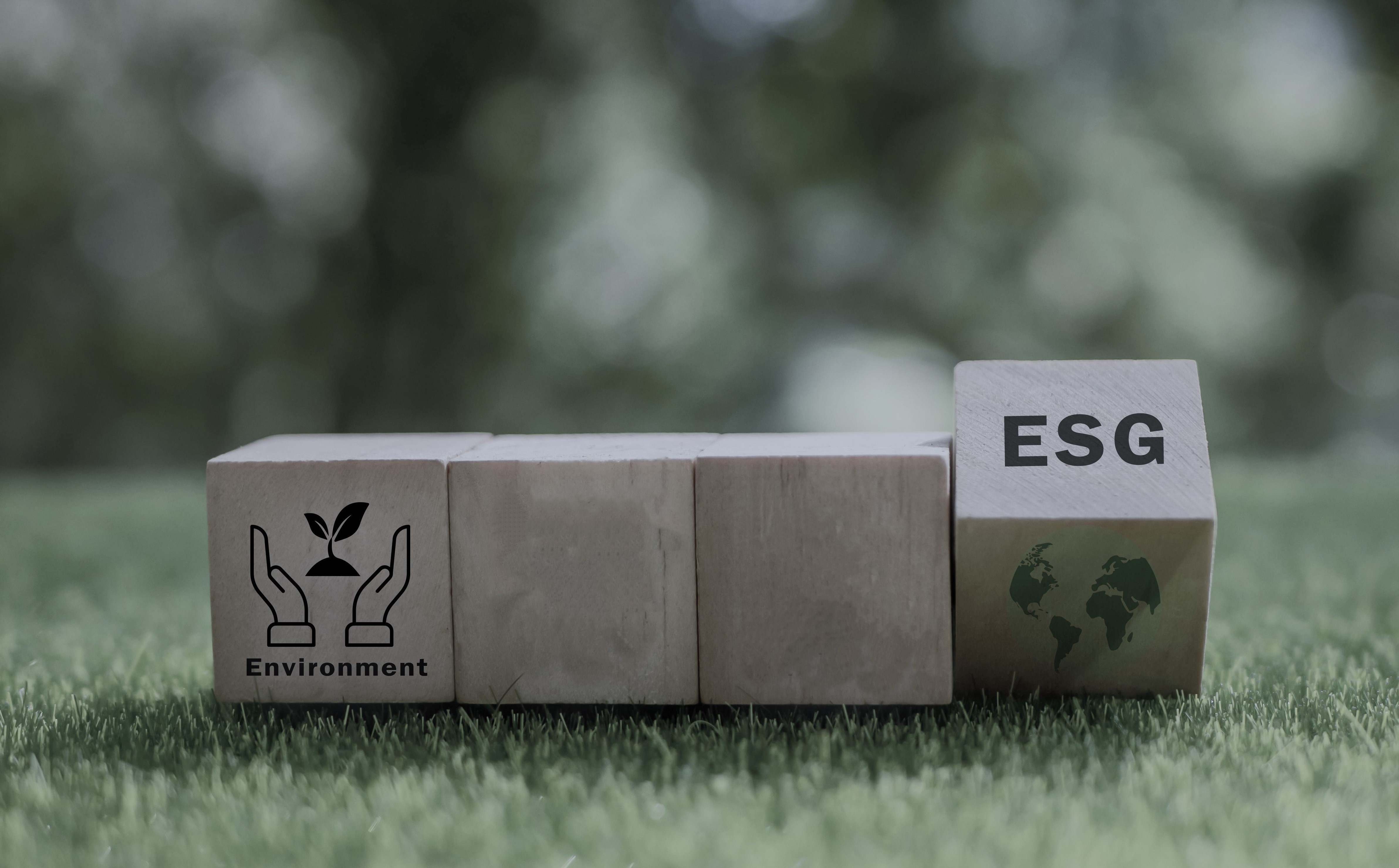 „E“ wie Environment: Welche Bedeutung haben Umweltaspekte für den ...