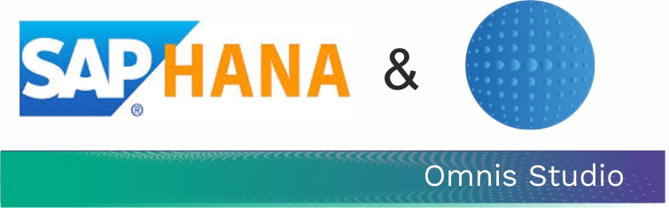 Integration SAP HANA and Omnis Studio, Omnis Software Germany GmbH ...