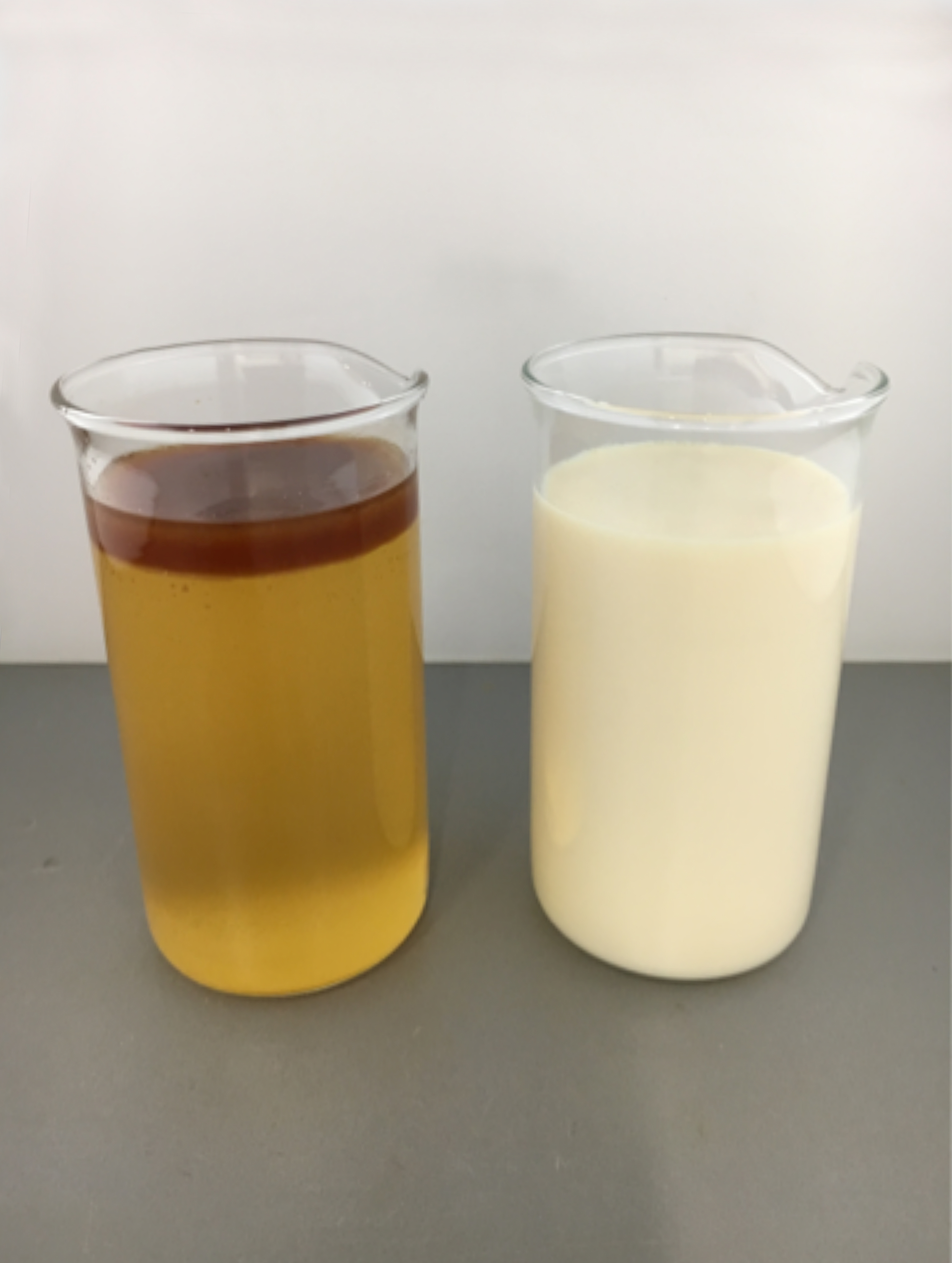 SurTec: Rückblick und Ausblick, SurTec Deutschland GmbH, Story - PresseBox