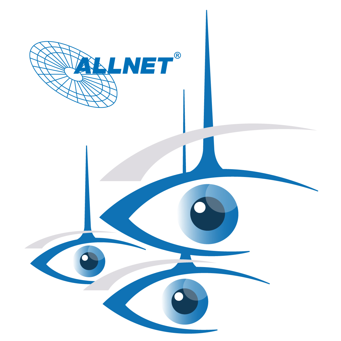 ALLNET Video Surveillance Day 2010 - Tipps und Trends aus erster Hand ...