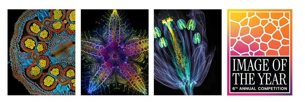 EVIDENT kündigt den sechsten Wettbewerb „Bild des Jahres“ an, EVIDENT Europe GmbH, Story - PresseBox