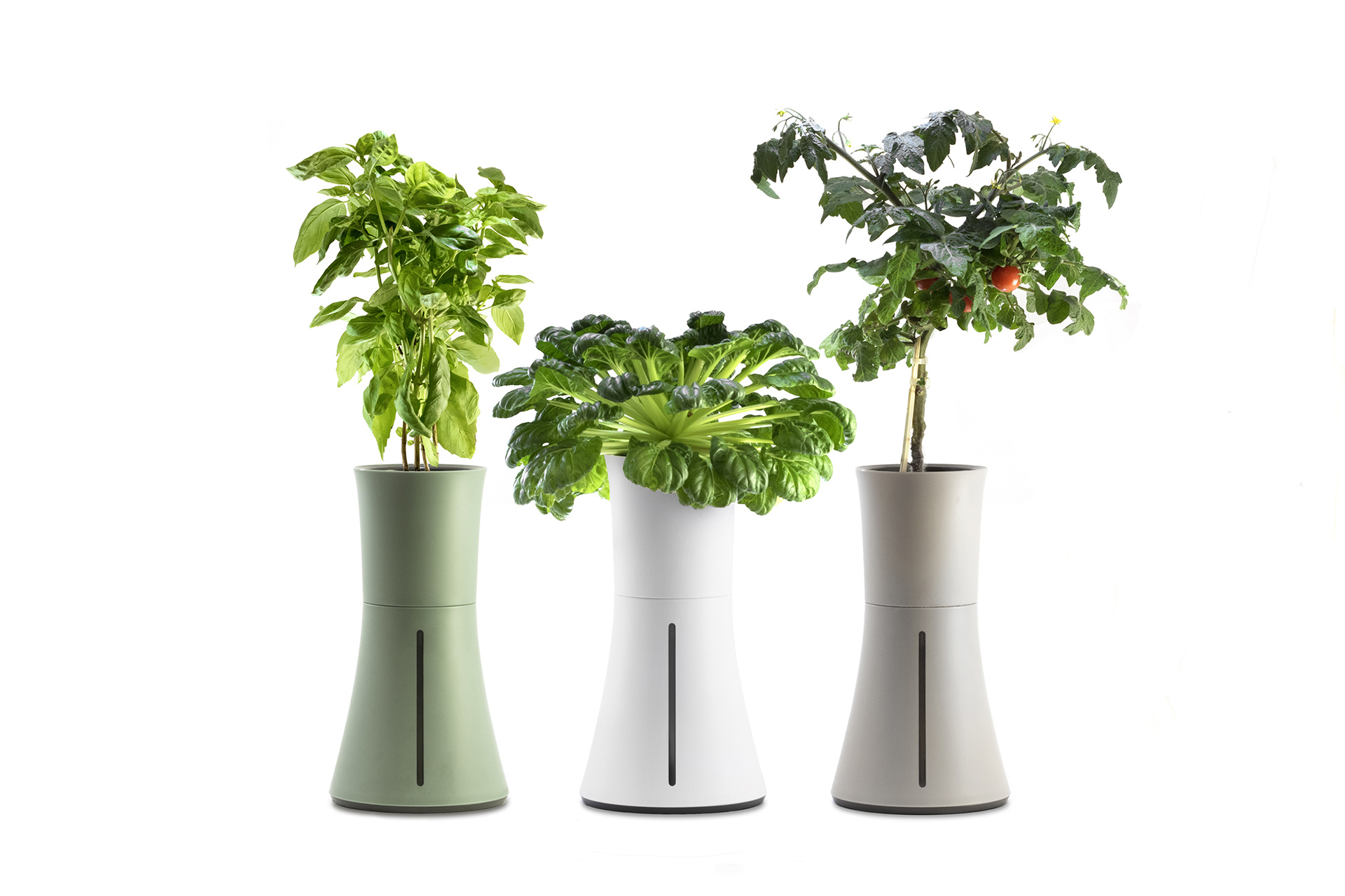 Botanium: Quick success without the need for green thumbs, Botanium AB ...