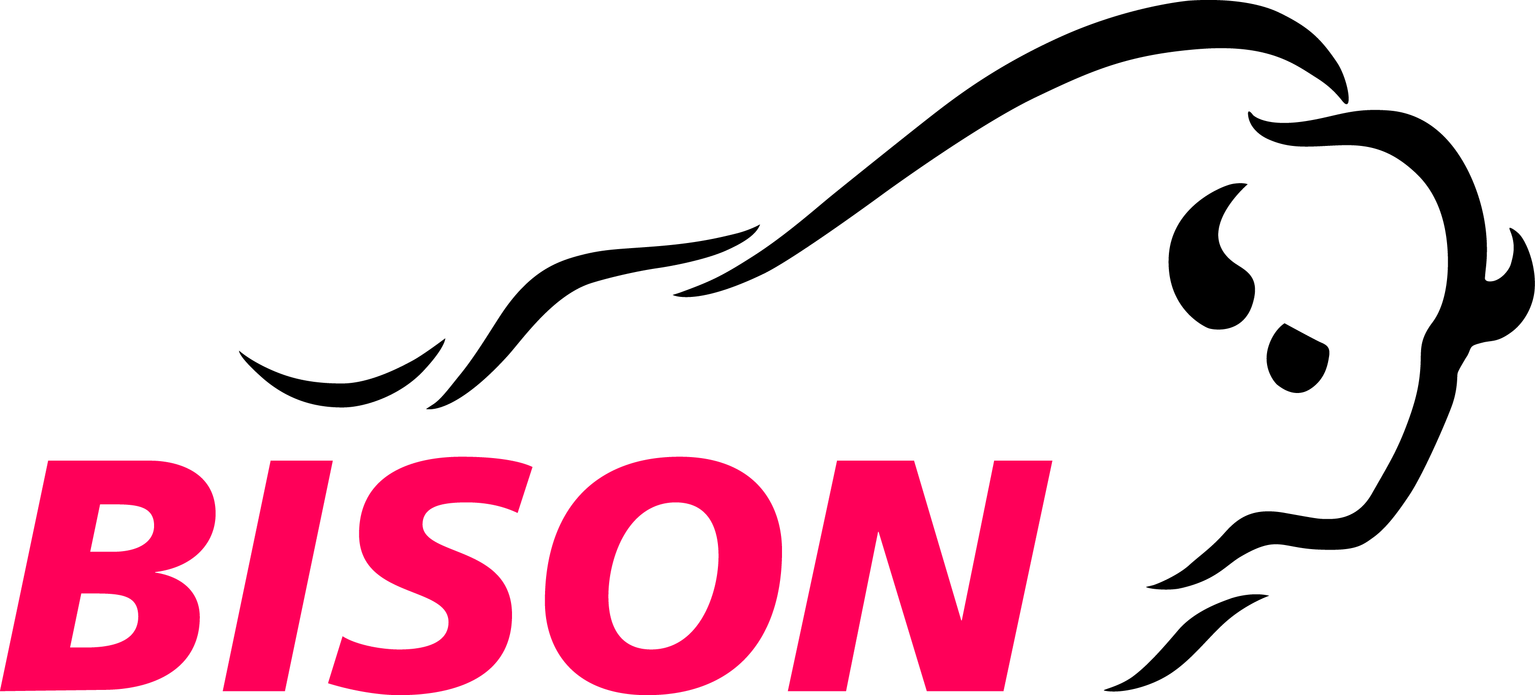 Bison Matinée: Cyber Security: Das neue Normal!, BitHawk AG, Story ...