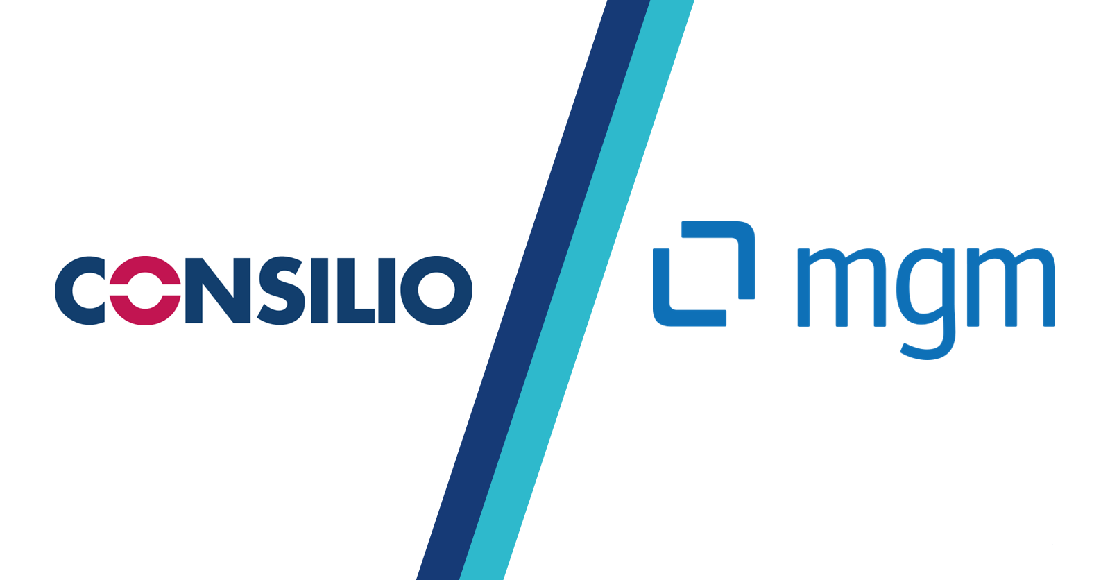 mgm technology partners erreicht mithilfe von CONSILIO eine 360-Grad ...