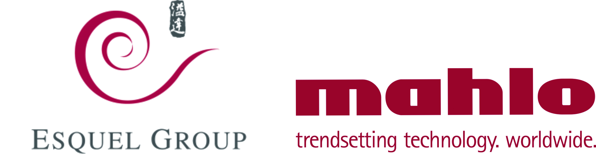 Two leaders - one vision, Mahlo GmbH + Co. KG, Story - PresseBox