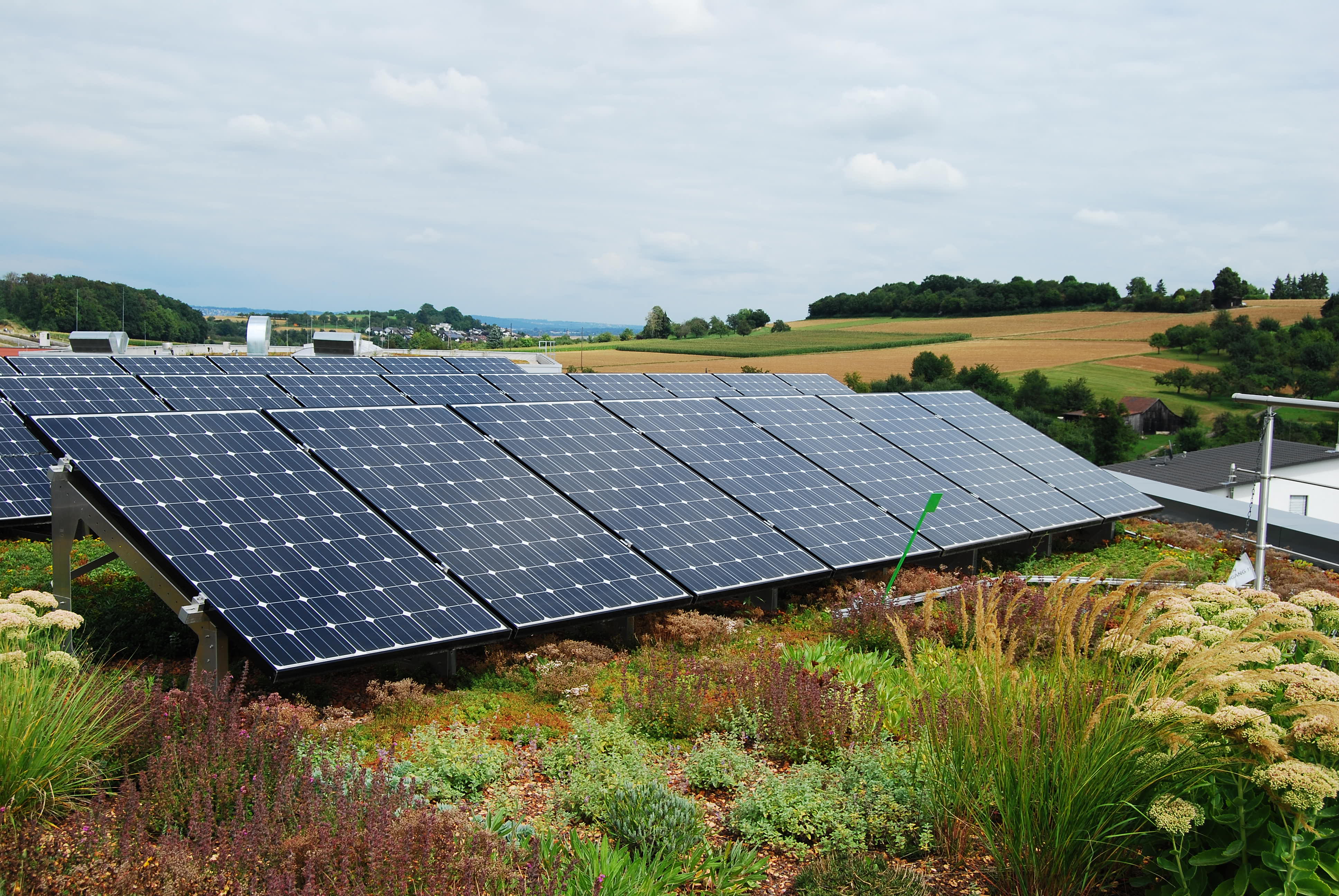 Green and Solar – 4 % increase in yield, ZinCo GmbH, Story - PresseBox
